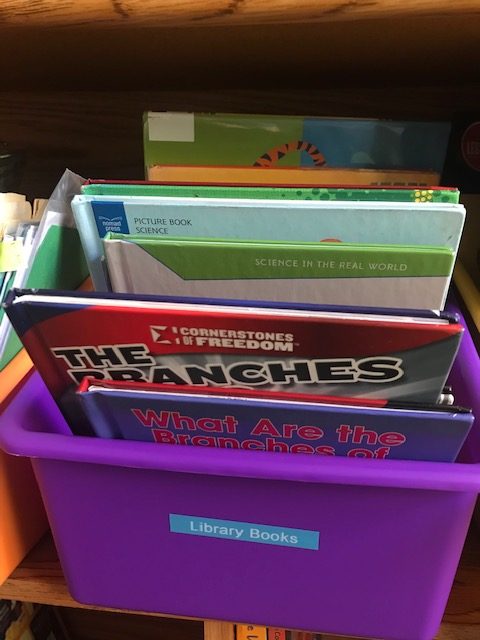 Homeschooling your Toddler- A Set up that actually works ⋆