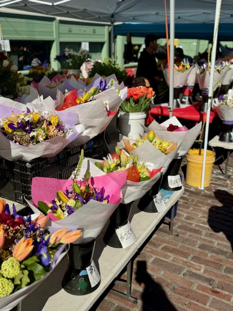 Seattle: What to Know and Where to Go ⋆